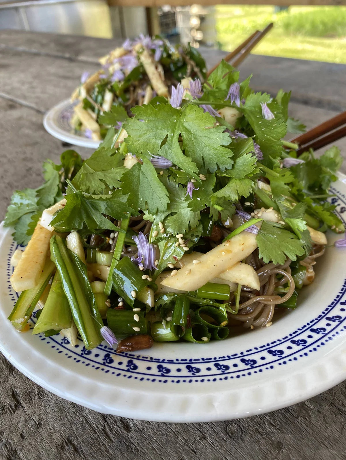 SPRING SOBA SALAD – Blue Goose Farm