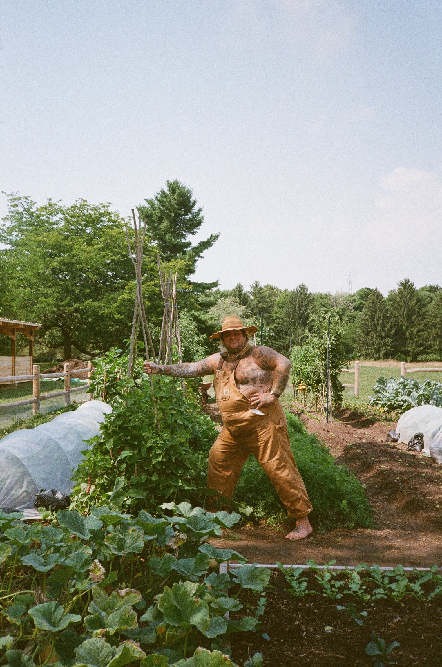 About Us – Blue Goose Farm