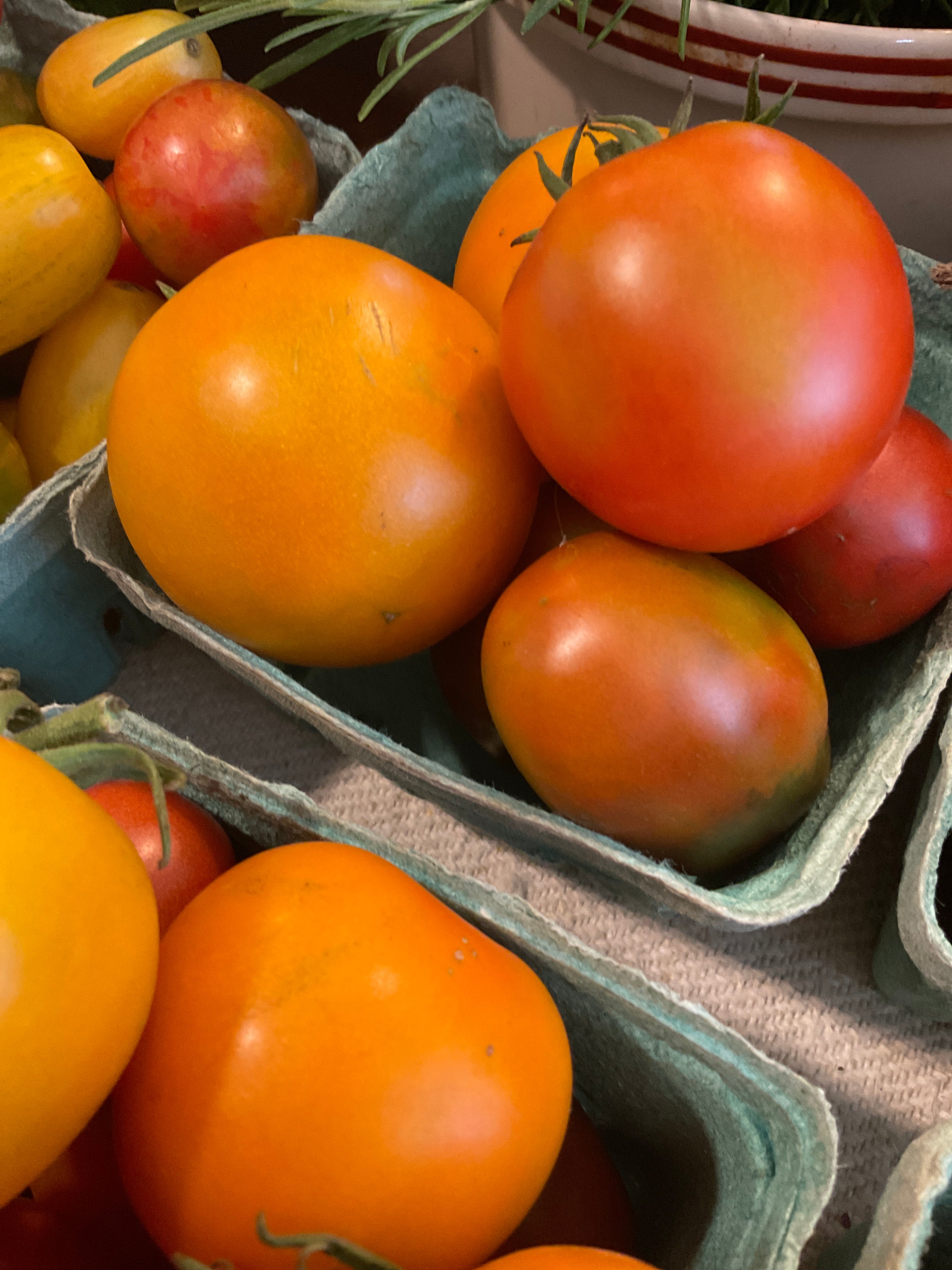Tomatoes, Pint – Blue Goose Farm